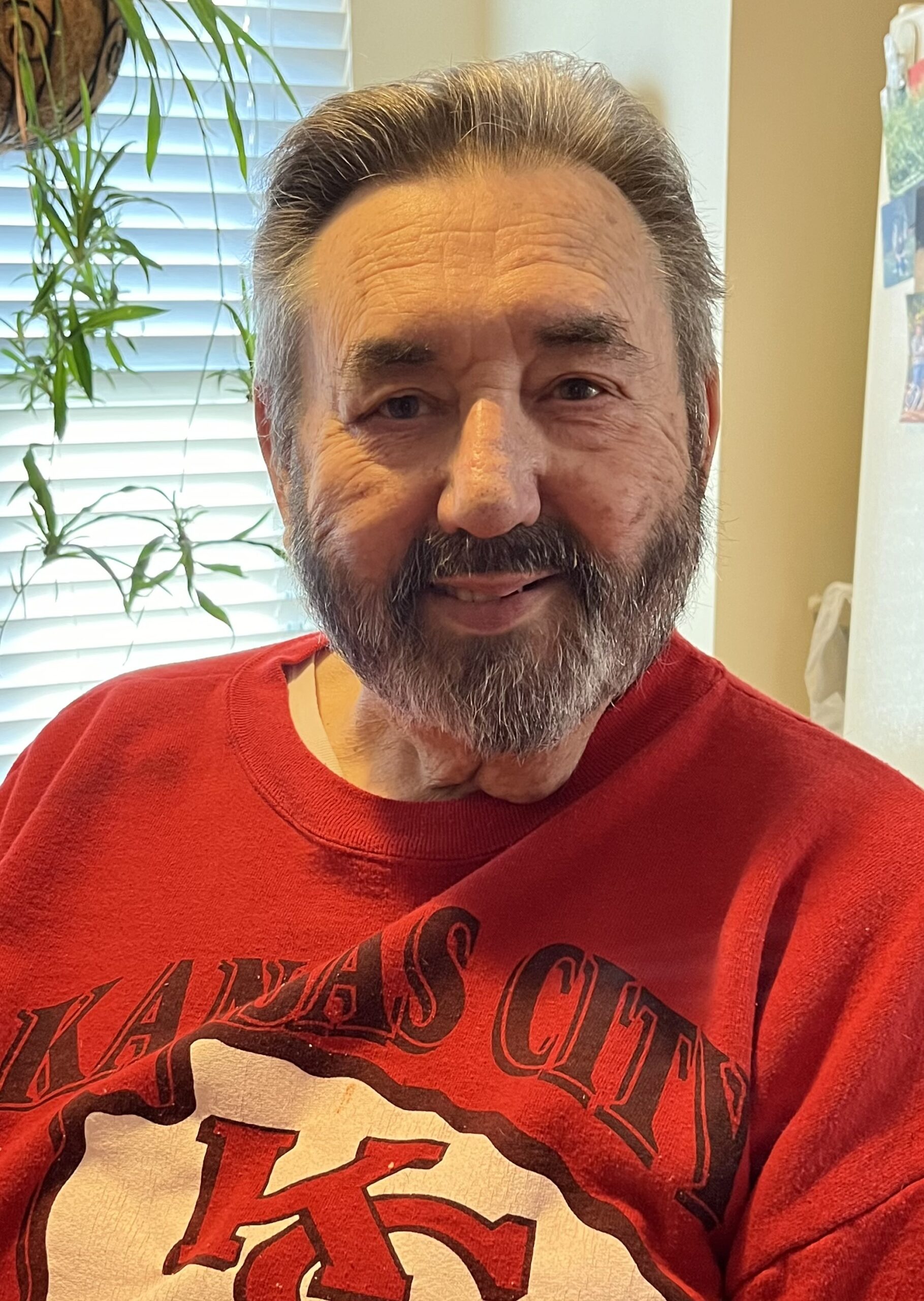 Phyllis Barr Obituaries | Search Results